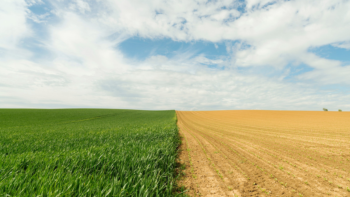 We Already Know How to Curb Climate Change | Columbia Business School