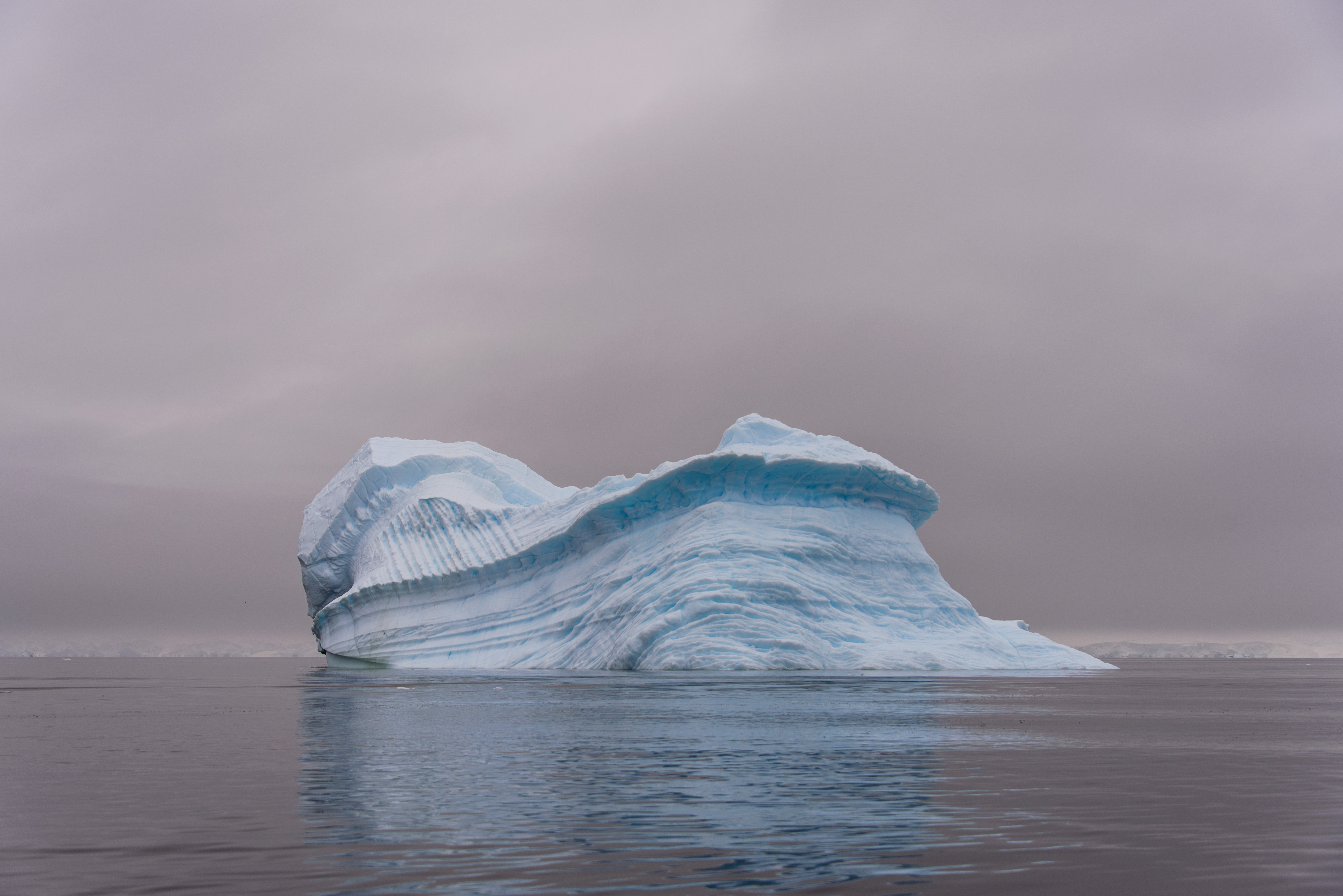 What Will Trump’s Victory Mean for the Climate? | Columbia Business School