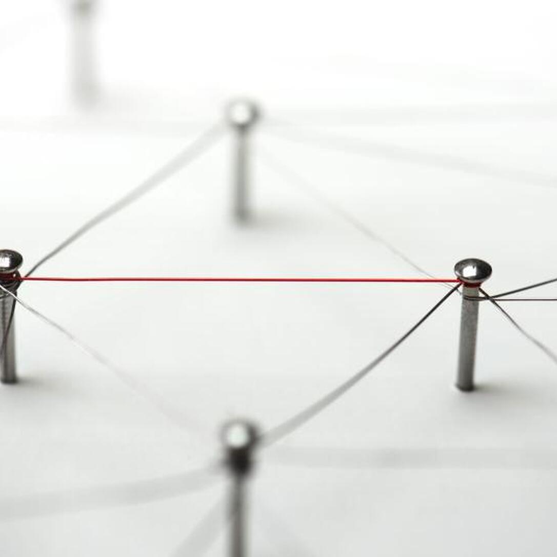 To Maximize Returns, Target the Network | Columbia Business School To Maximize Returns, Target the Network | Columbia Business School